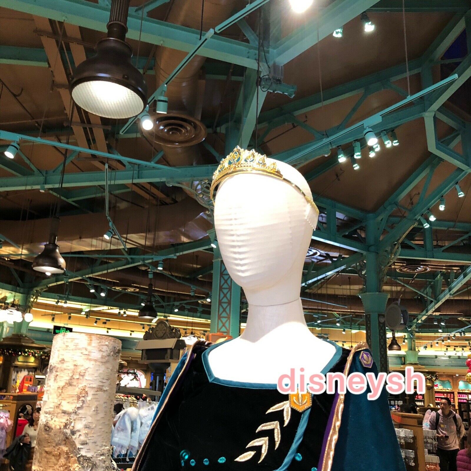 Elsa Store Disneyland